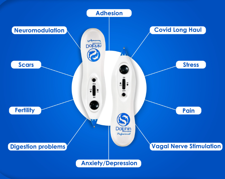Dolphin Videos - KVA Holistic Wellness